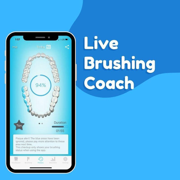 Buy BLU Smart Toothbrush with App Enabled in White Rose - BLU Toothbrush